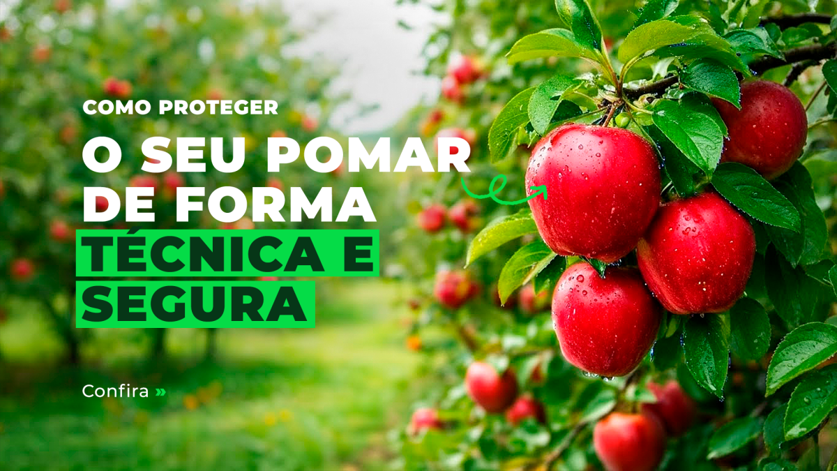Controle equilibrado de pragas em frutíferas: como proteger o seu pomar ...